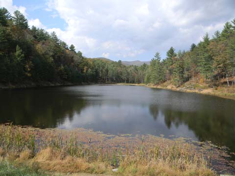 SWAC Girl: Picnic at Braley Pond in George Washington National Forest