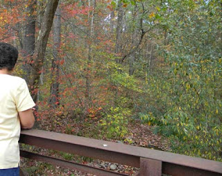 SWAC Girl: Picnic at Braley Pond in George Washington National Forest