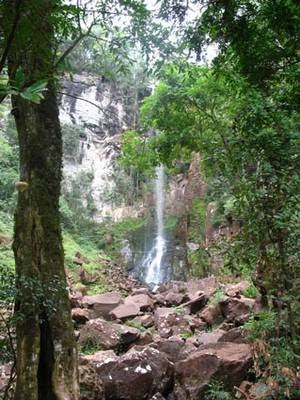 esb320geografia2: Biomas de selva