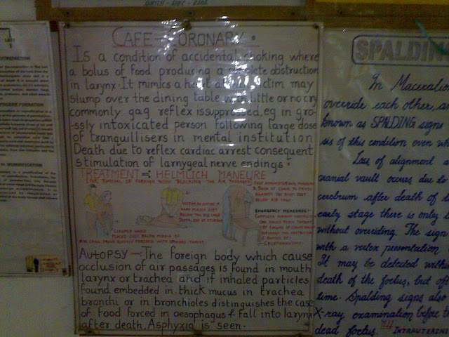 passion for almost evrythin: fmt charts