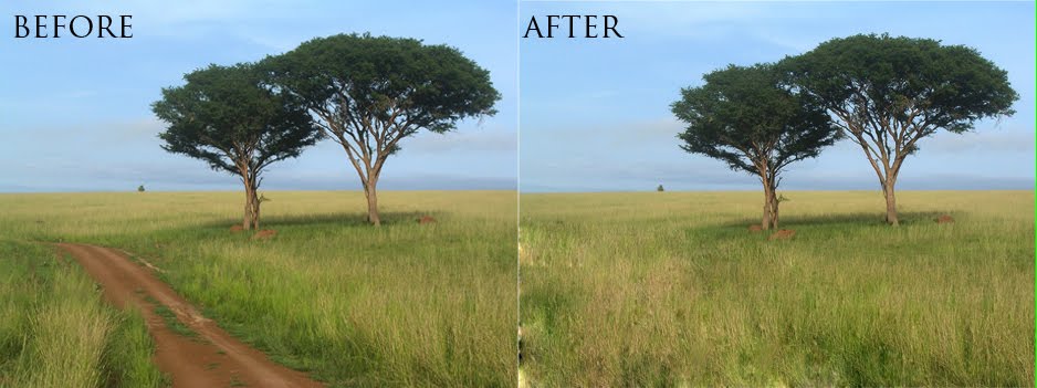 Nic's Design Blog: Photoshop exercises