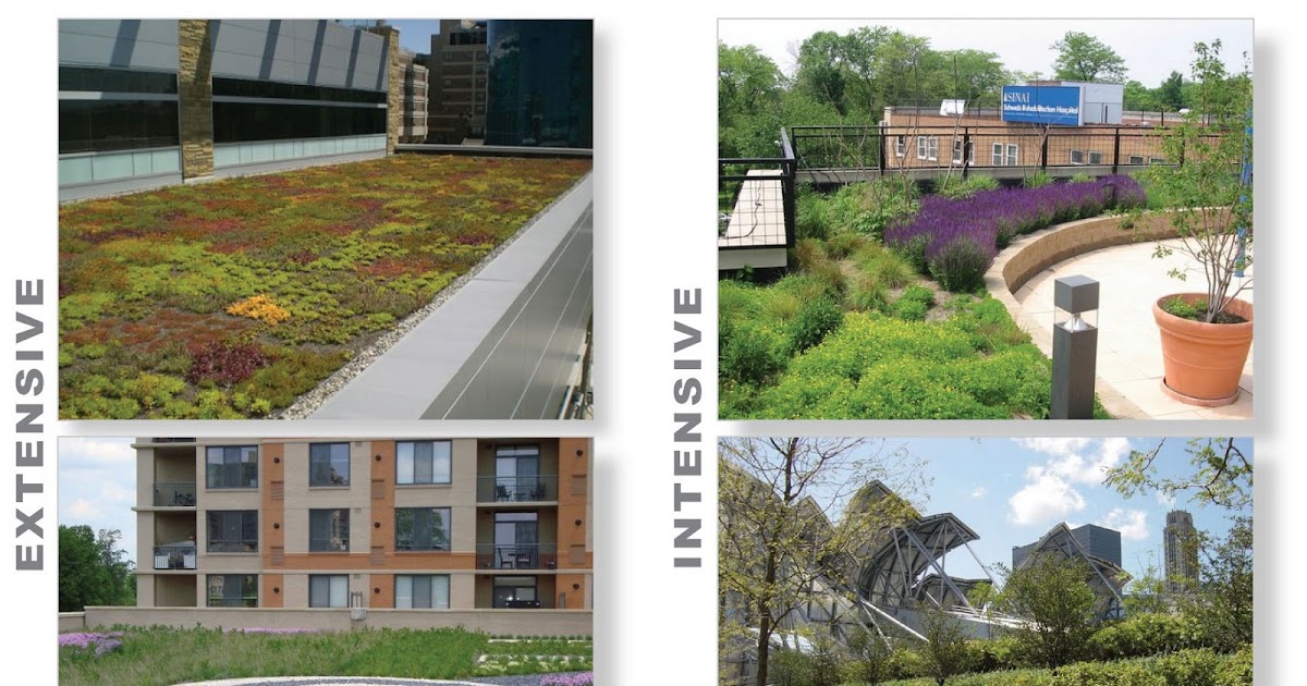 Extensive Green Roof Design