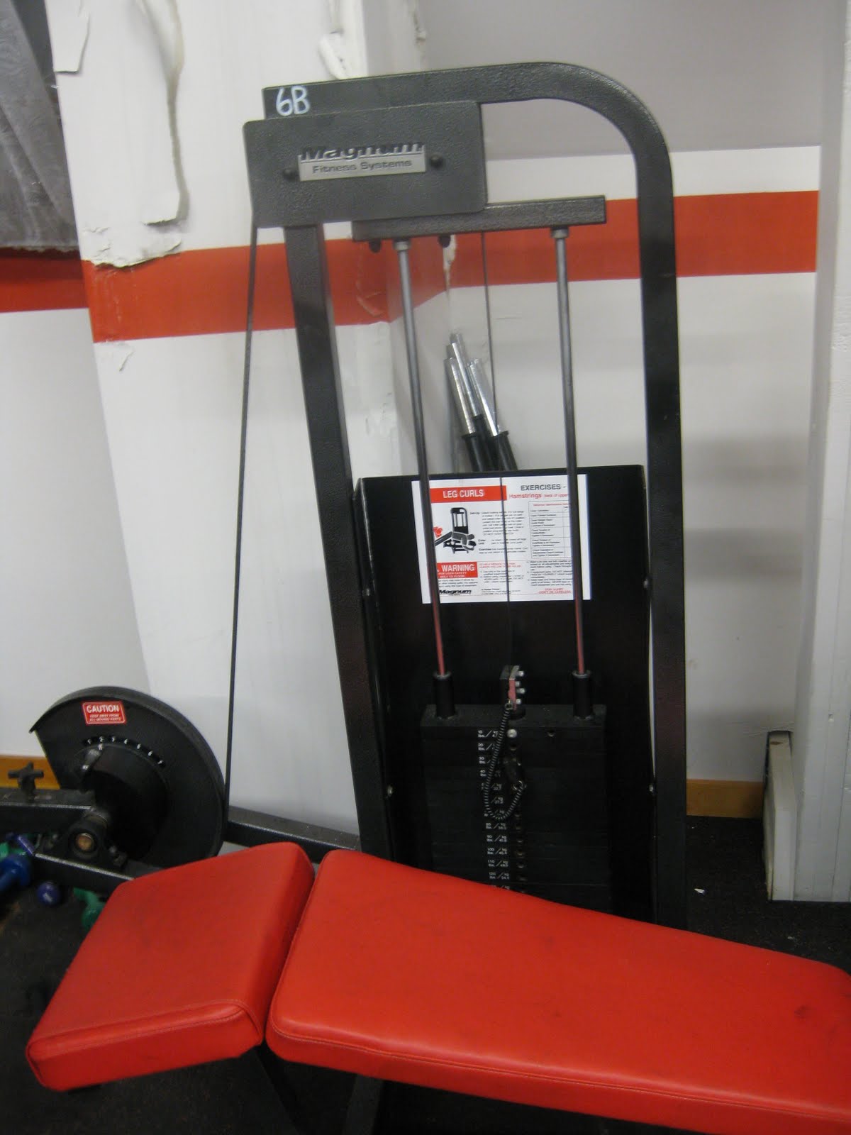 Gym Equipment for Sale: Magnum Strength - B2 Leg Curl (30613)