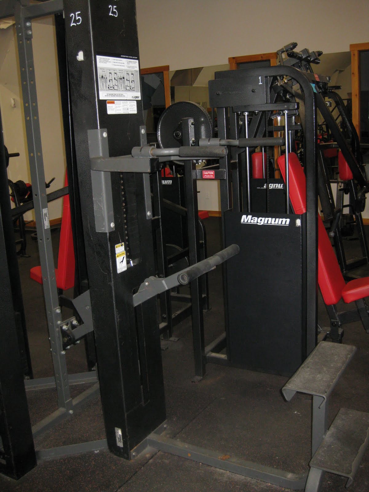 Gym Equipment for Sale: Cybex Strength - 5611 Weight Assisted Dip Chin
