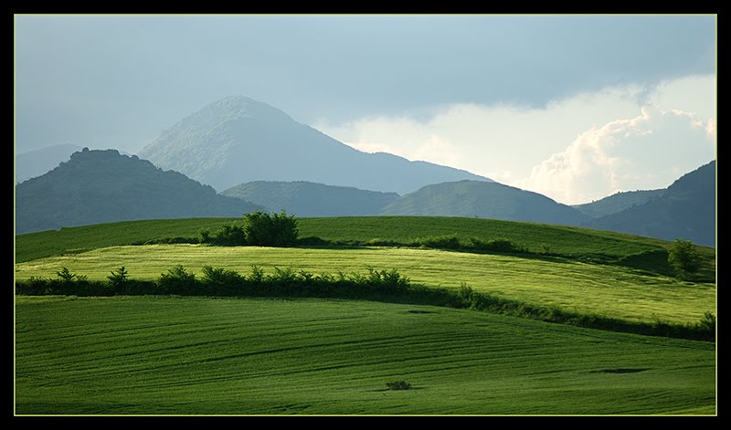 LO MEJOR DE CANAAN: CANAAN