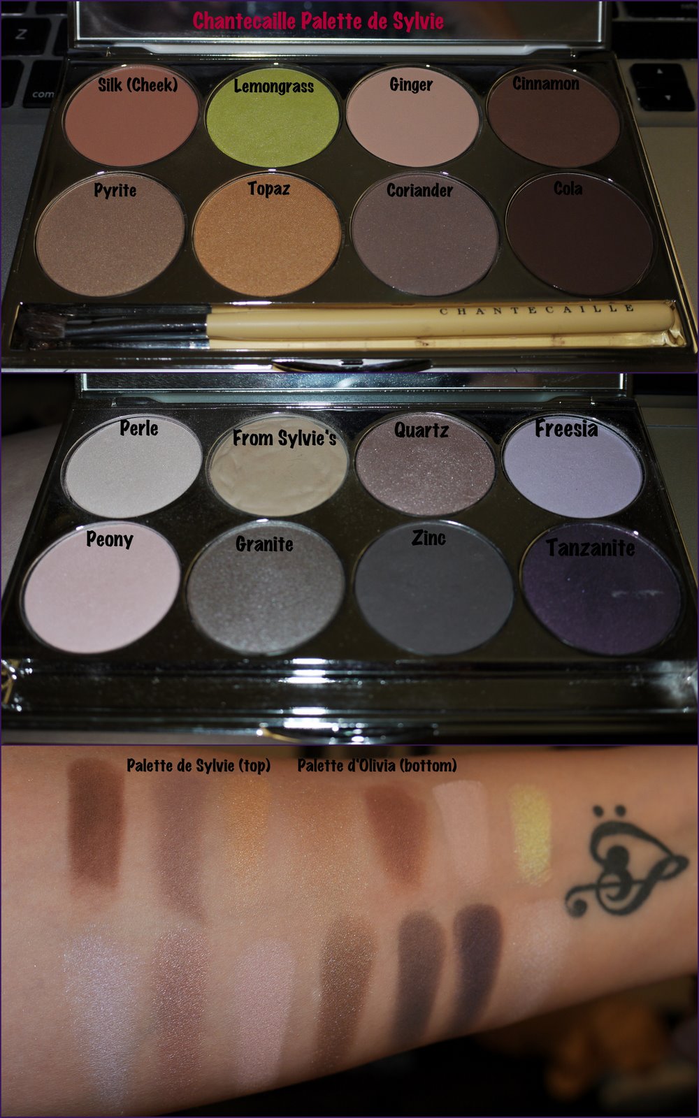 Makeup on the Rocks: Chantecaille Eyeshadow Swatches - Palette d'Olivia ...