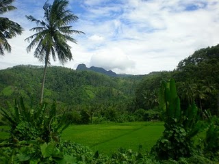 Travel Guide to Beautiful Indonesia: Teluk Kiluan , Virgin White Beach ...