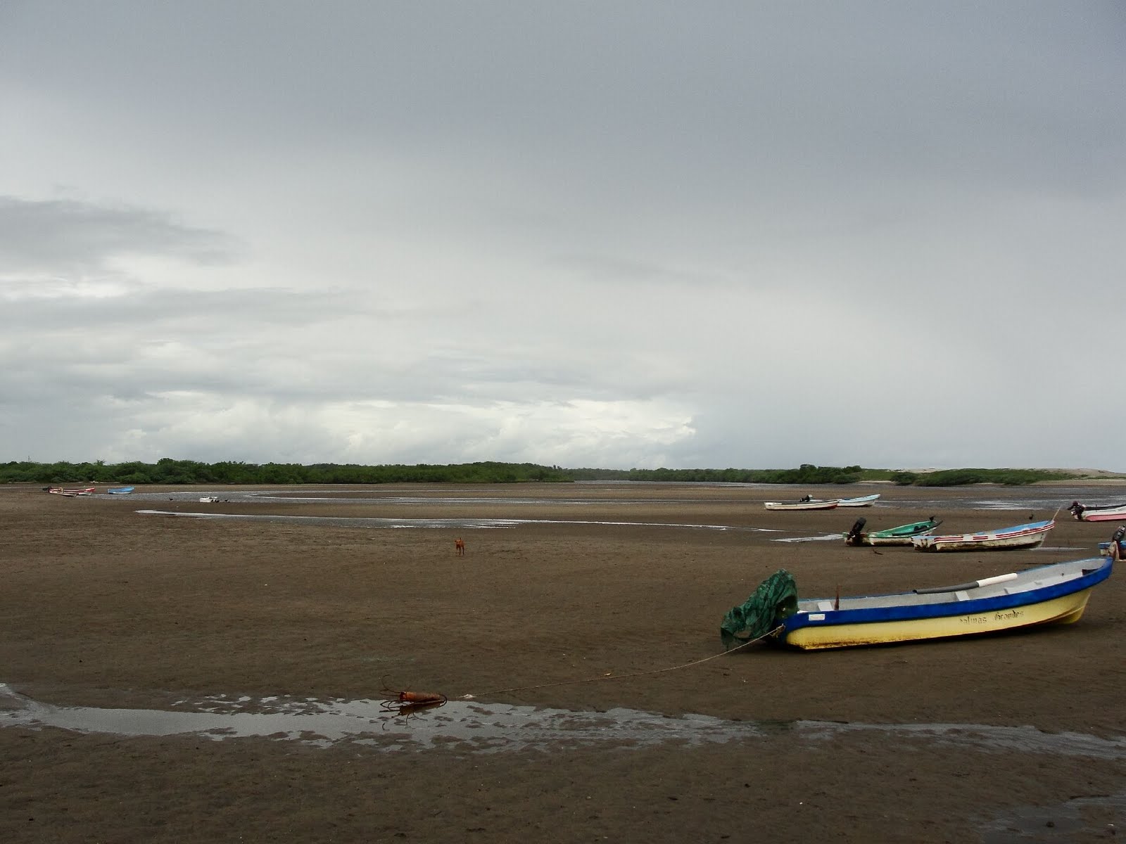 Lennys Reise: León Ausflug zum Strand "Las Peñitas"