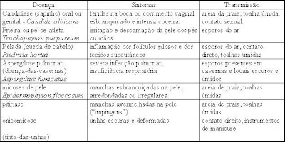 BIOLOGIA - PROFESSOR VASCO: BIODICA 2