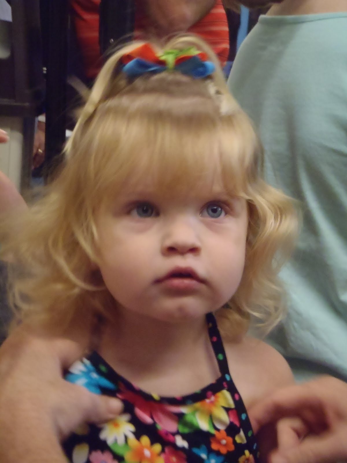 The Segelken Family: Little Miss Beauty Pageant