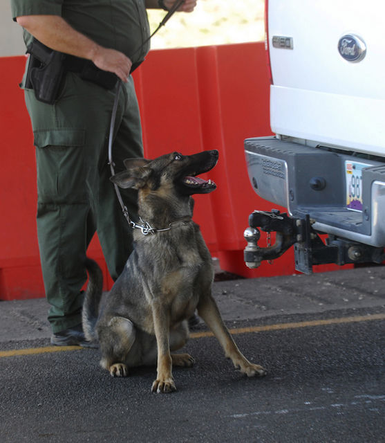 U.S. Border Narcotics Intelligence: The U.S. Border Patrols Best Weapon ...