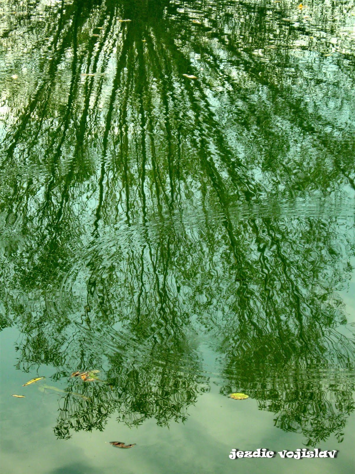 Reka Karas - Jasenovo