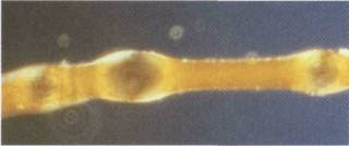 Bubble Hair - Hairlicious Inc.