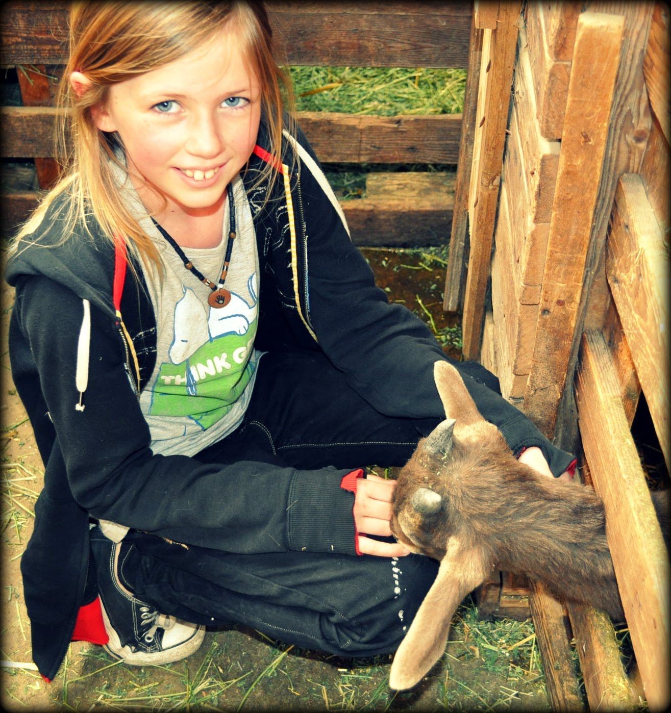 sweet potato pie: goat camp!