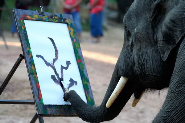 Everything interesting: ELEPHANTS CAN PAINT TOO..