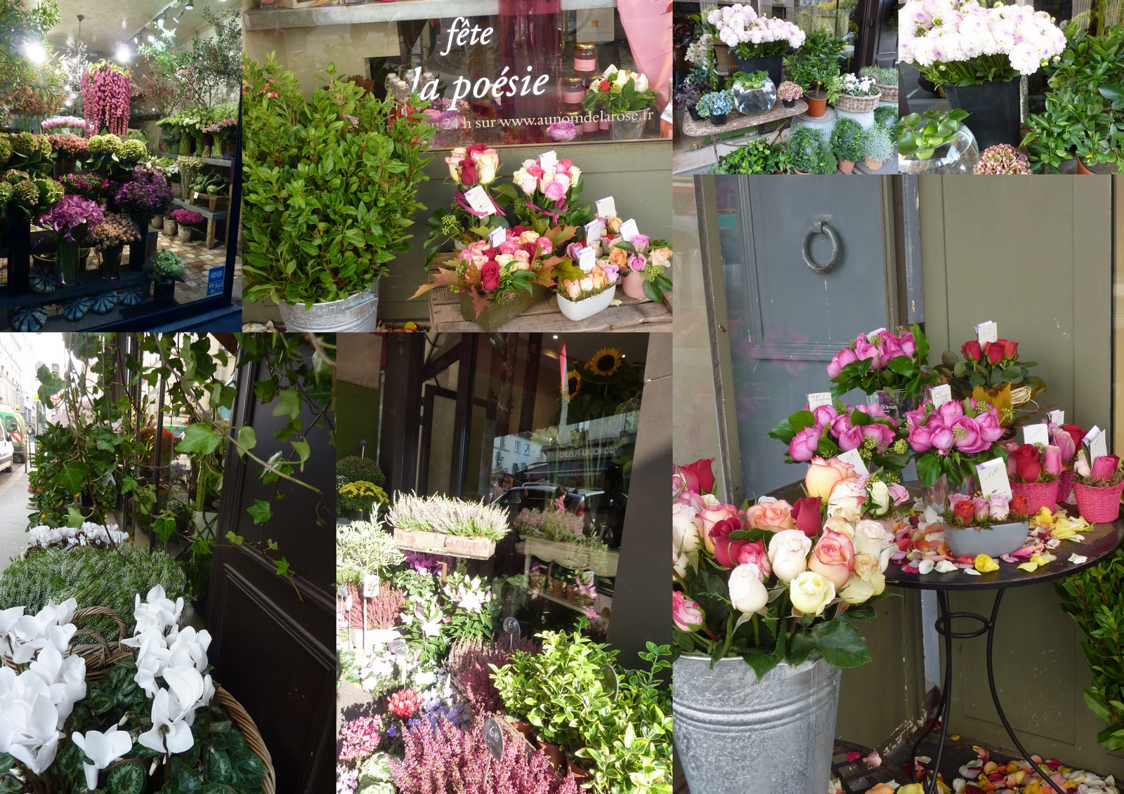 manon 21: Les fleuristes à Paris