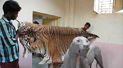Nothing To Do With Arbroath: Indian zoo to put its stuffed dead animals ...