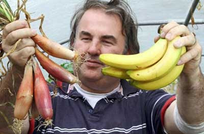 Nothing To Do With Arbroath: Farmer creates first ever banana-shaped ...