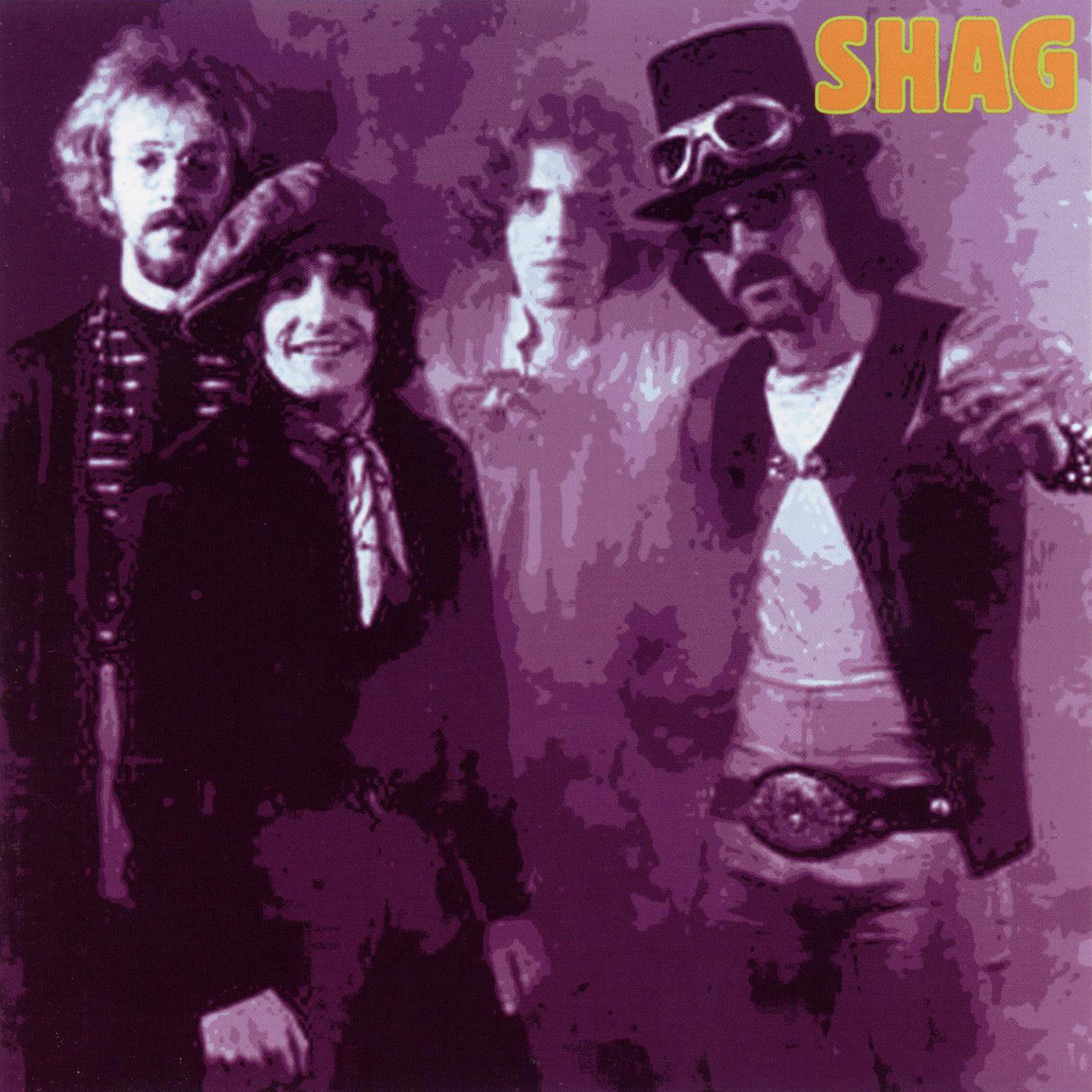 Disco Perdido: Shag