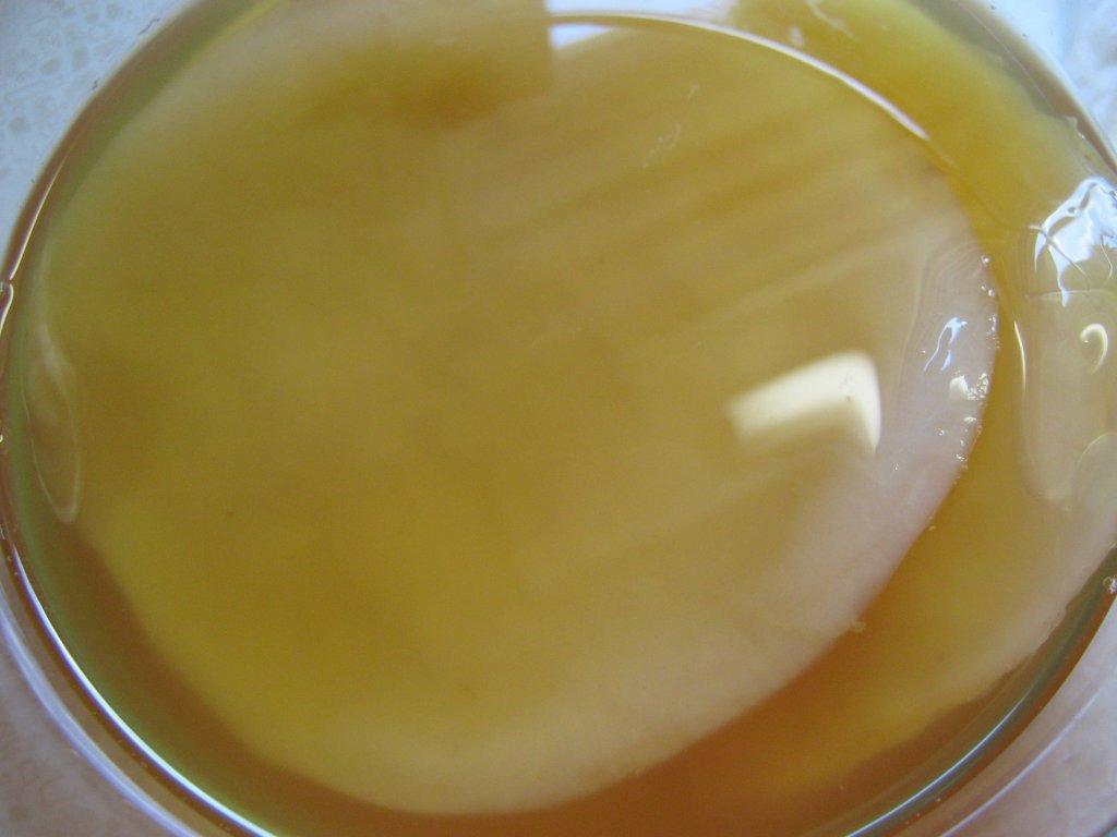 the happy raw kitchen: Kombucha, Baby! Update