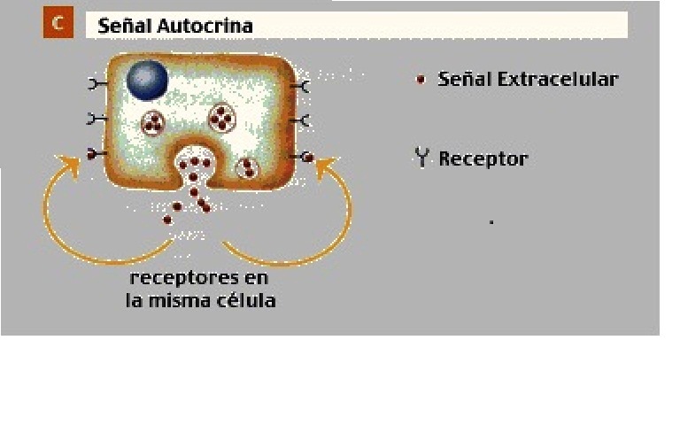 Jhonathan Velez Bcdc: DÉCIMA ENTRADA