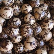 Maribel Design: Tagua and Other Seeds