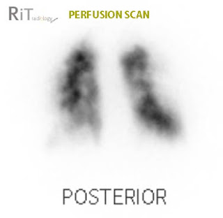 RiT radiology: March 2010