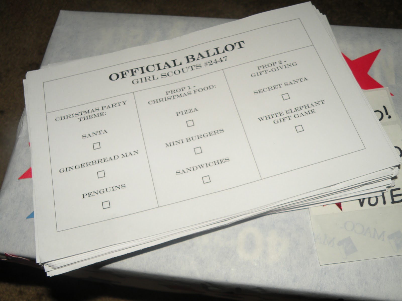 Girl Scout Troop #2447: Every {Vote} Counts!