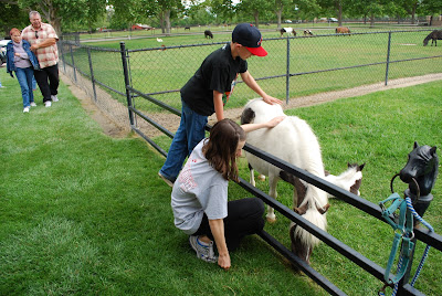 The Masyr Six: Quicksilver Miniature Horse Ranch - Solvang!