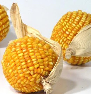 This Bug's Life: Um, You're corny. Go Away.