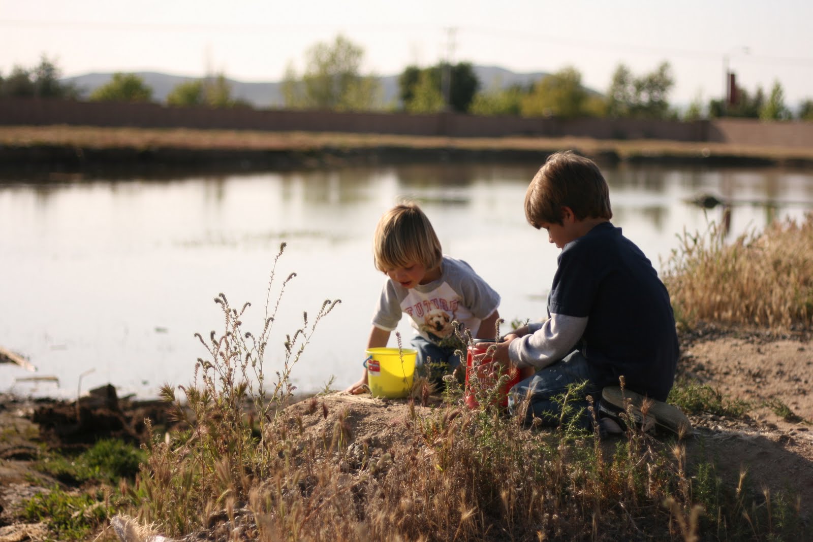 Our School House: Hop Frog Pond