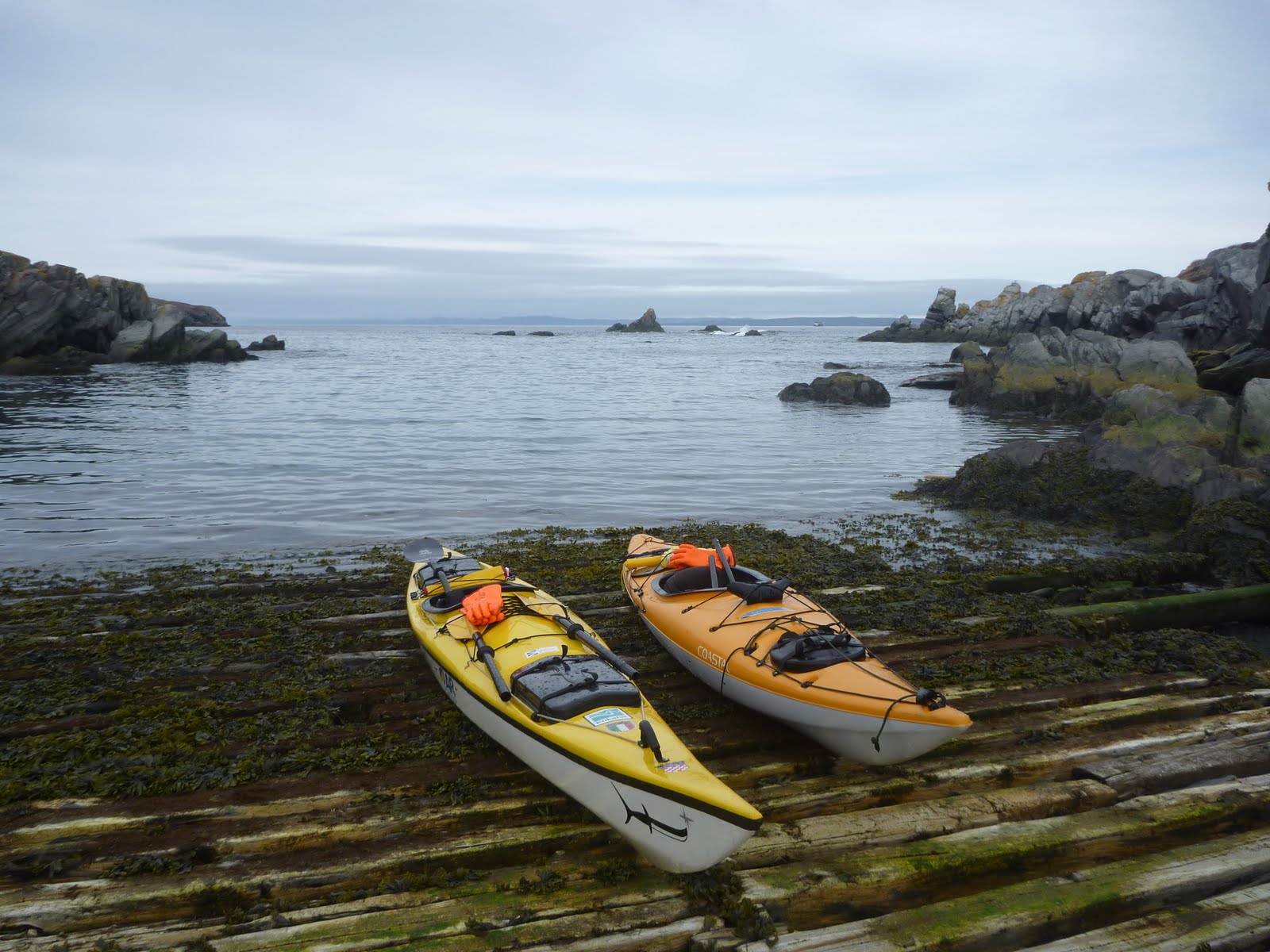 Newfoundland Sea Kayaking: Clarkes Beach to Hibb's Cove
