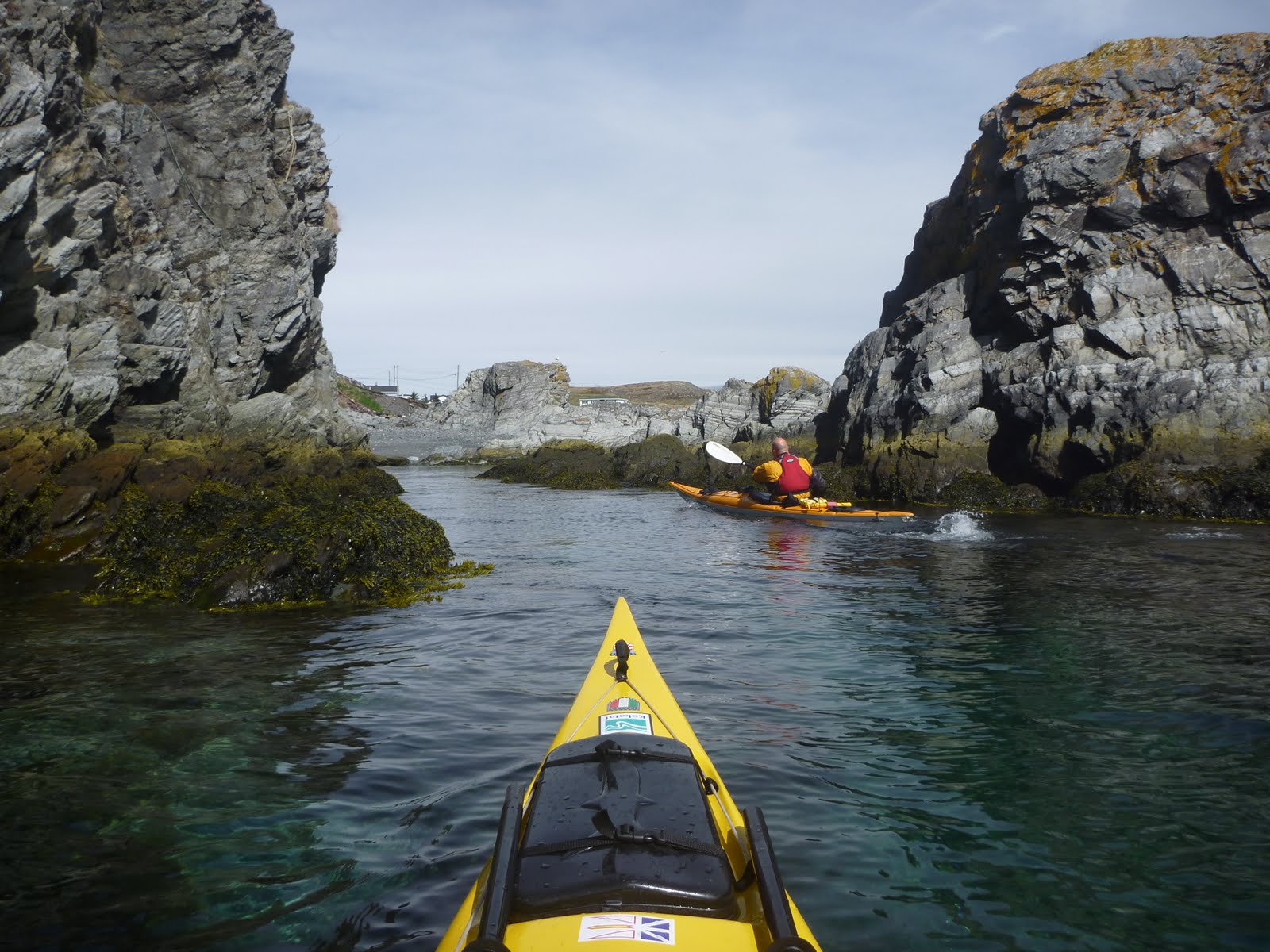 Newfoundland Sea Kayaking: Clarkes Beach to Hibb's Cove