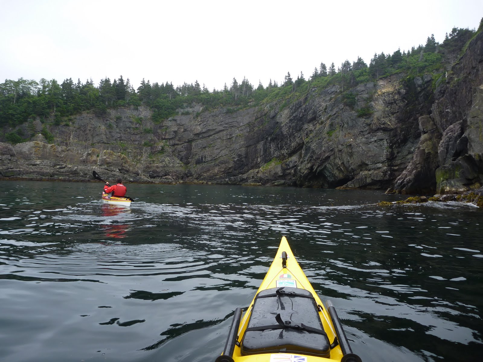 Newfoundland Sea Kayaking: Bay Bulls
