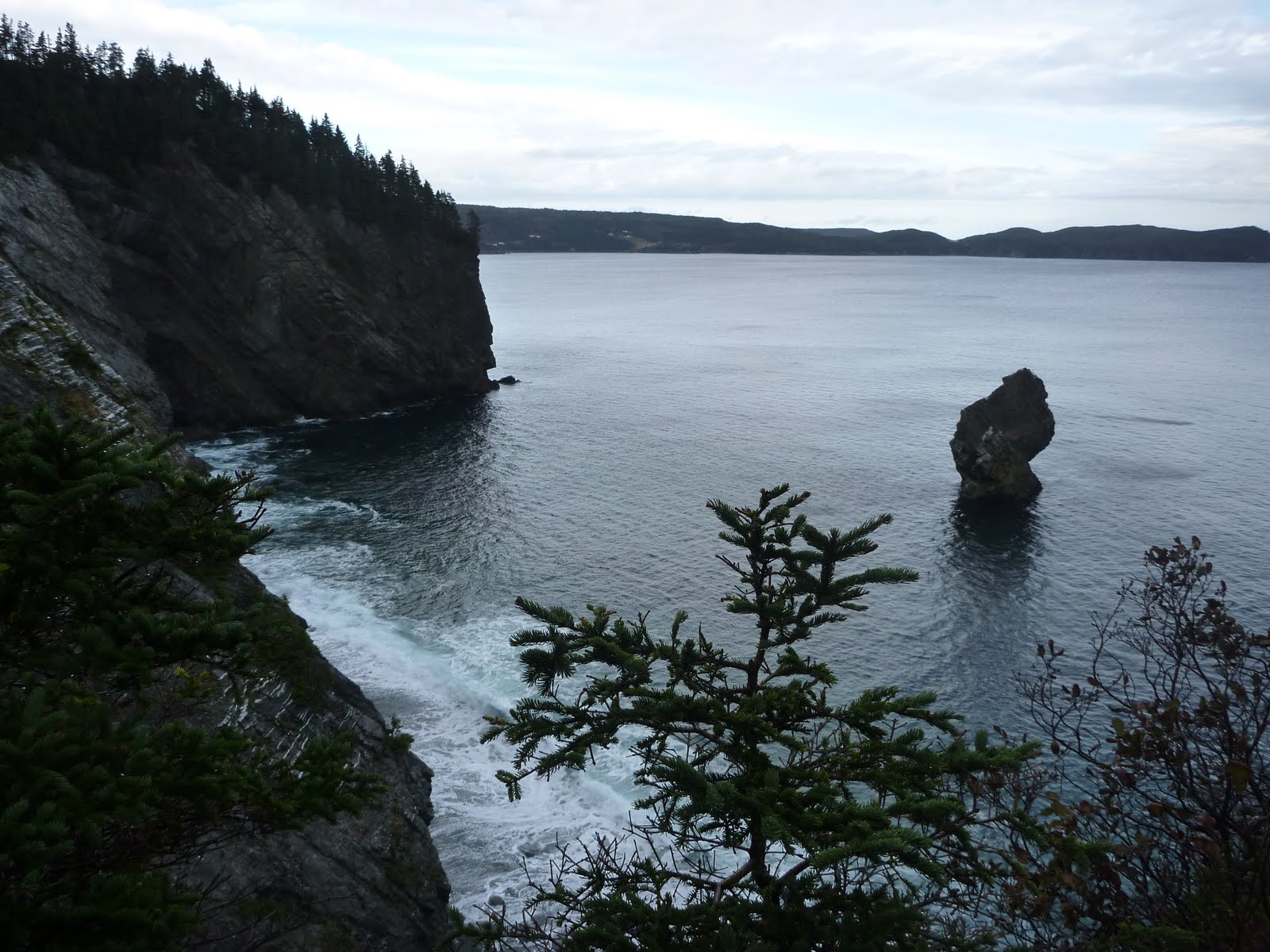 Newfoundland Sea Kayaking: East Coast Trail: Cape Broyle to Calvert