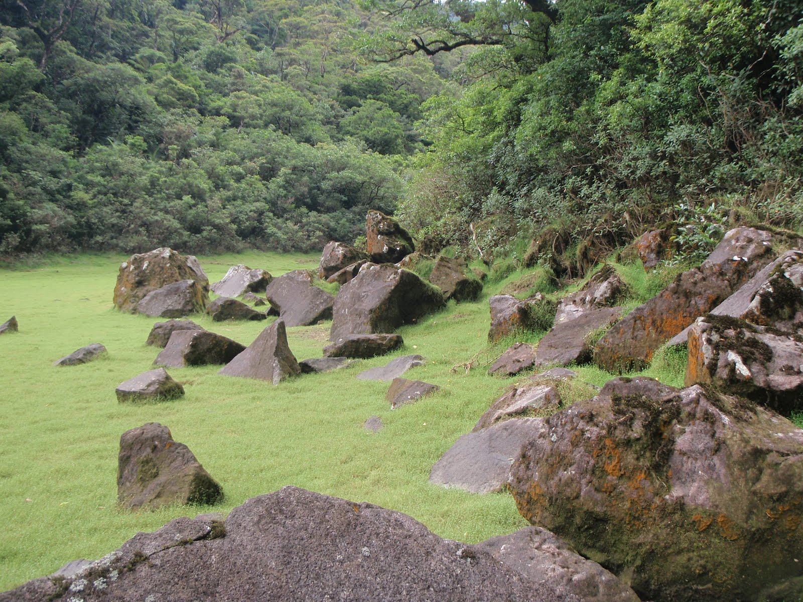 The Journey: Mt.Patag Revisited