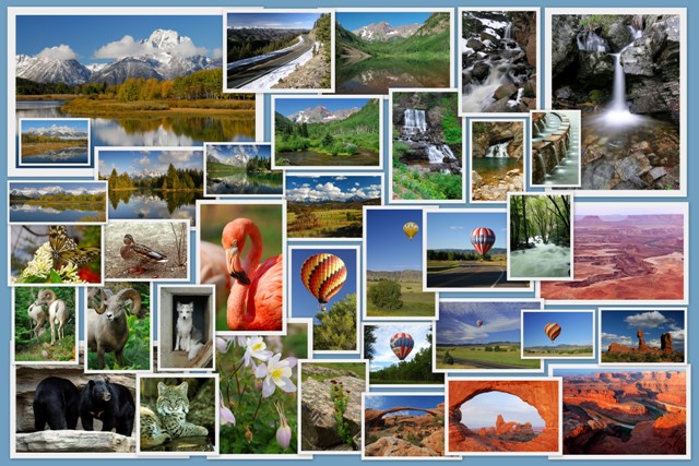 Hobbies Galore: Making a photo collage.