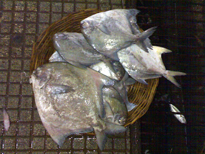 Karwar Daily Photo: Fish on display in Karwar Fish Market