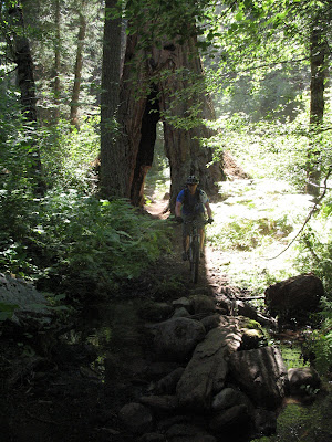 James' MTB Blog: Kernville/Sequoia Trip Day 4: Camp Nelson