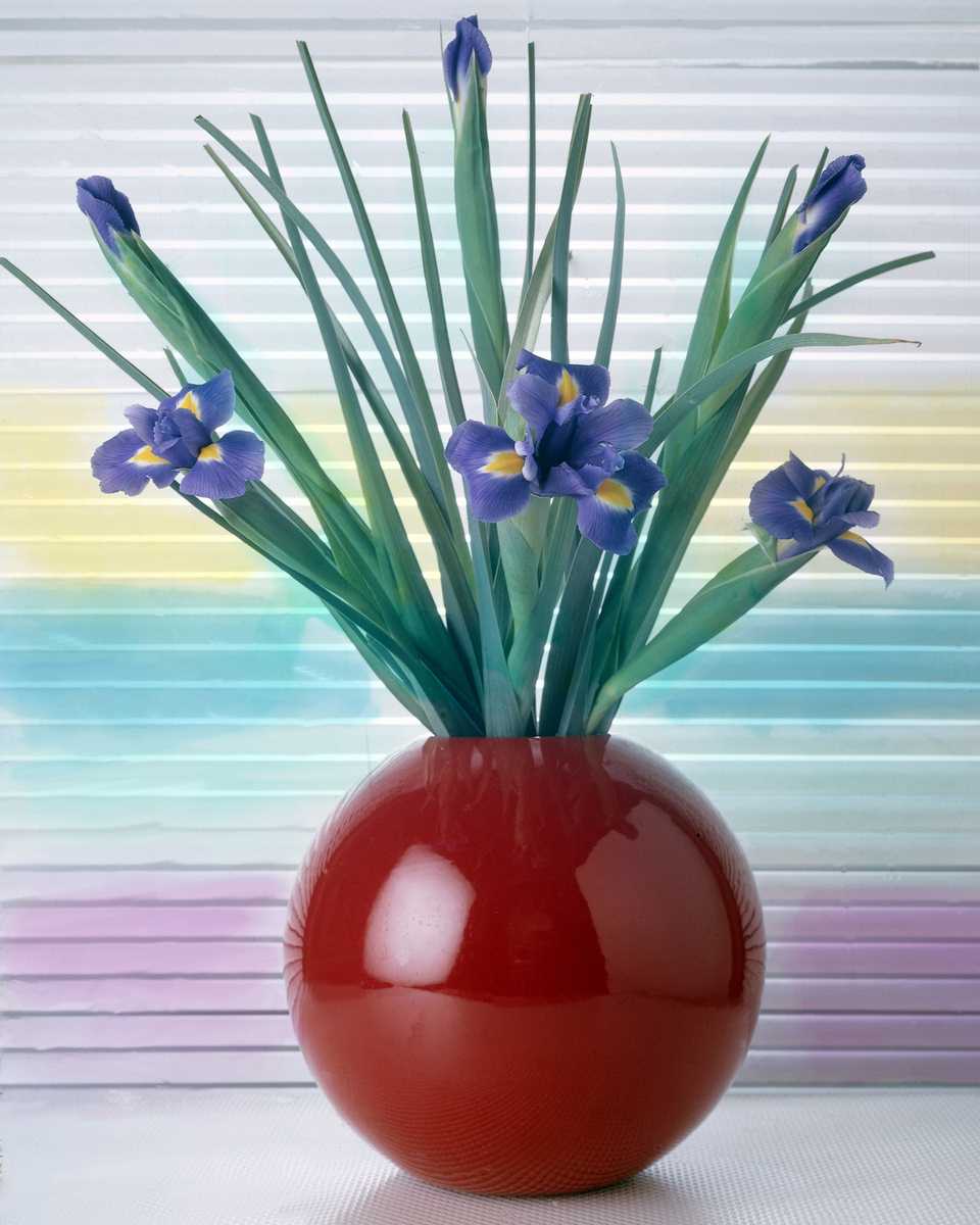 Free Wallpapers: Flower Bokays and Beautiful Gardens