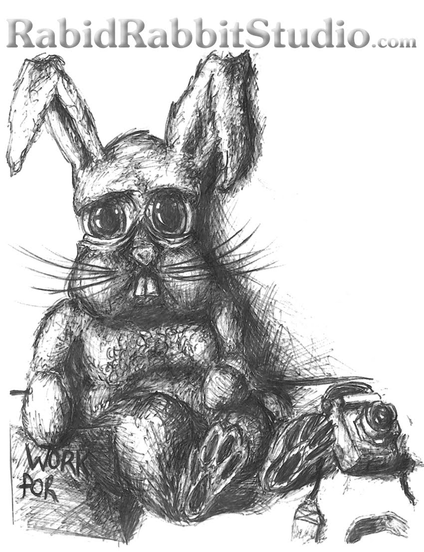 Rabid Rabbit Studio ~ South Florida Skateboarding and BMX Pictures