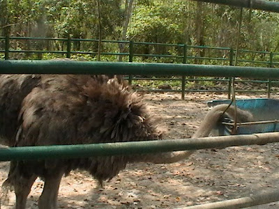 Me cansé de trabajar: EL PARQUE MACUTO Y SUS ATRACCIONES