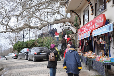 theStoryOfMyLIFE: TP20: Inkaya 600 years old Tree at Bursa