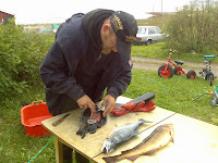 Tankar frå Varanger: Vår første laks!