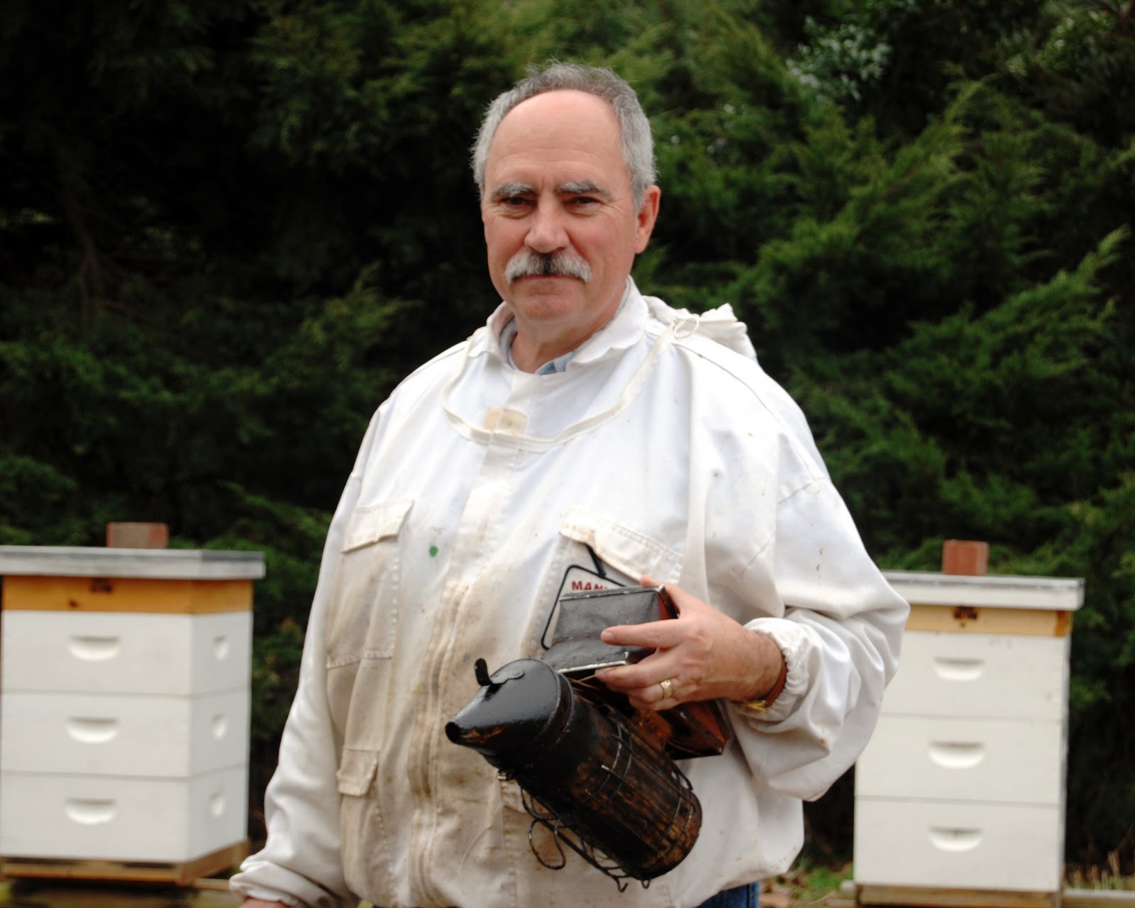 The Peace Bee Farmer: Honey Bee Evolution