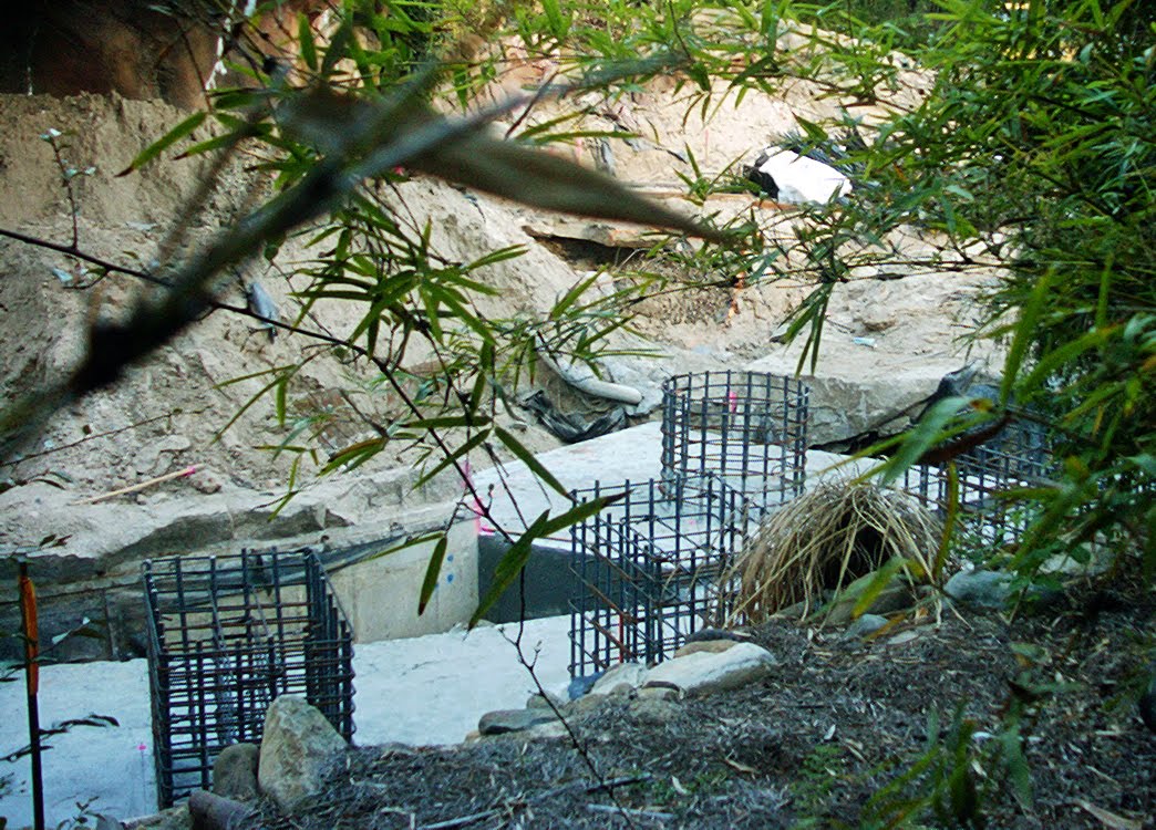 NewsPlusNotes: Scott And Carol Present - Cheetah Hunt Construction