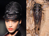 .: TRICK OR TREAT: RAVE INSECT