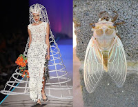 .: TRICK OR TREAT: RAVE INSECT