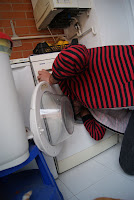 Monkeys on my Mind: 2011