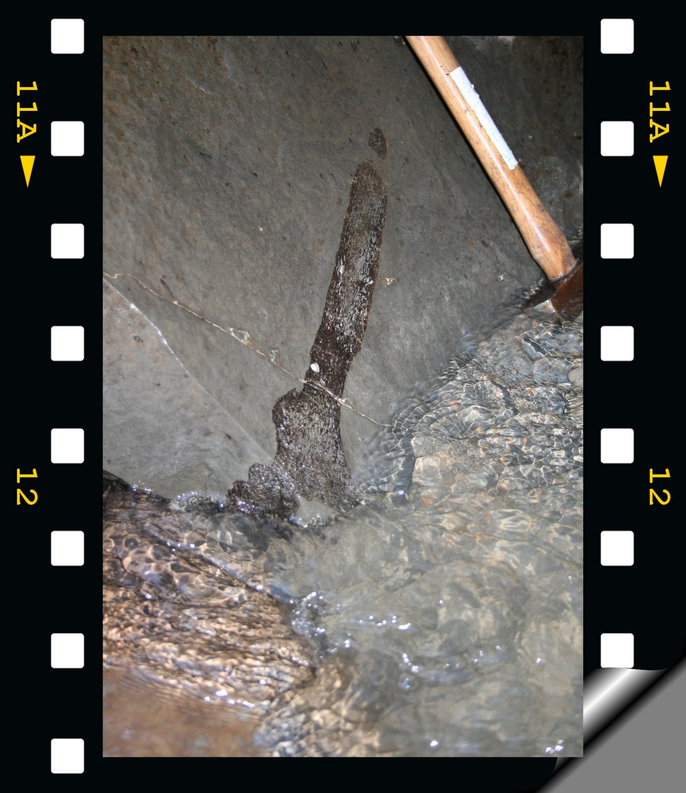 TANE-NUI-A-RANGI: THE BEGINNING